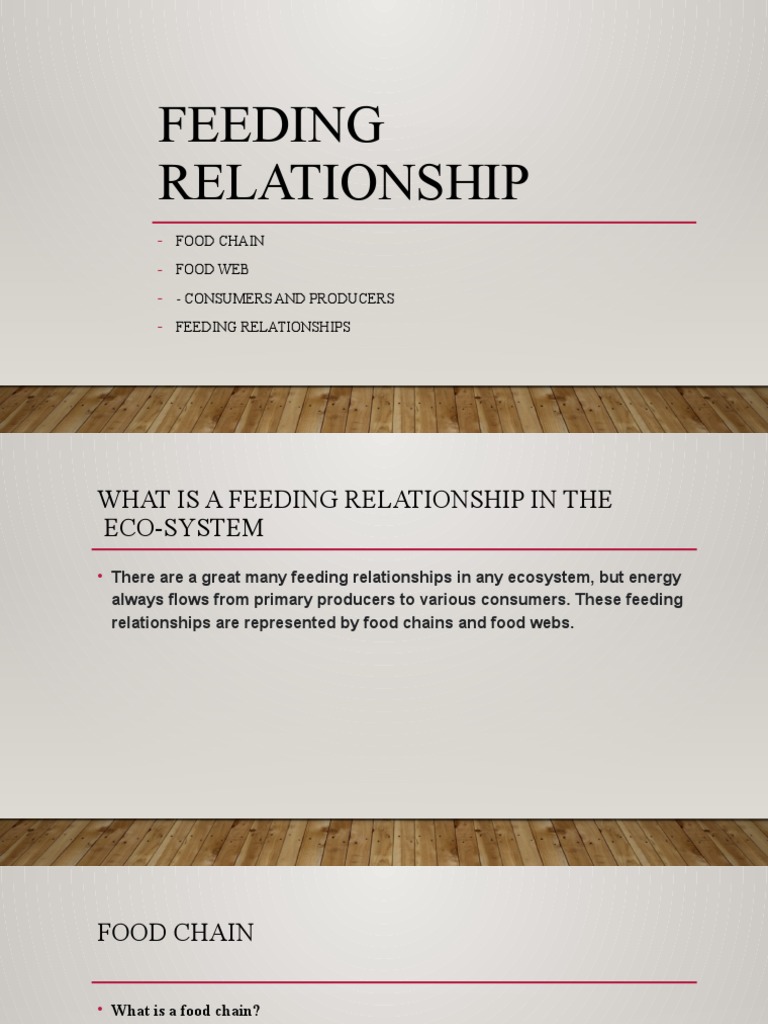 Feeding Relationship | PDF