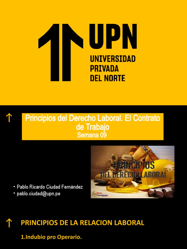 SesiÓn 09 Principios Del Derecho Laboral Pdf