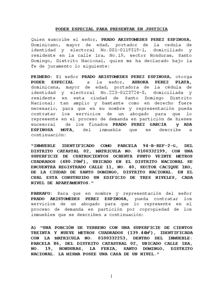 Poder de Representación | PDF