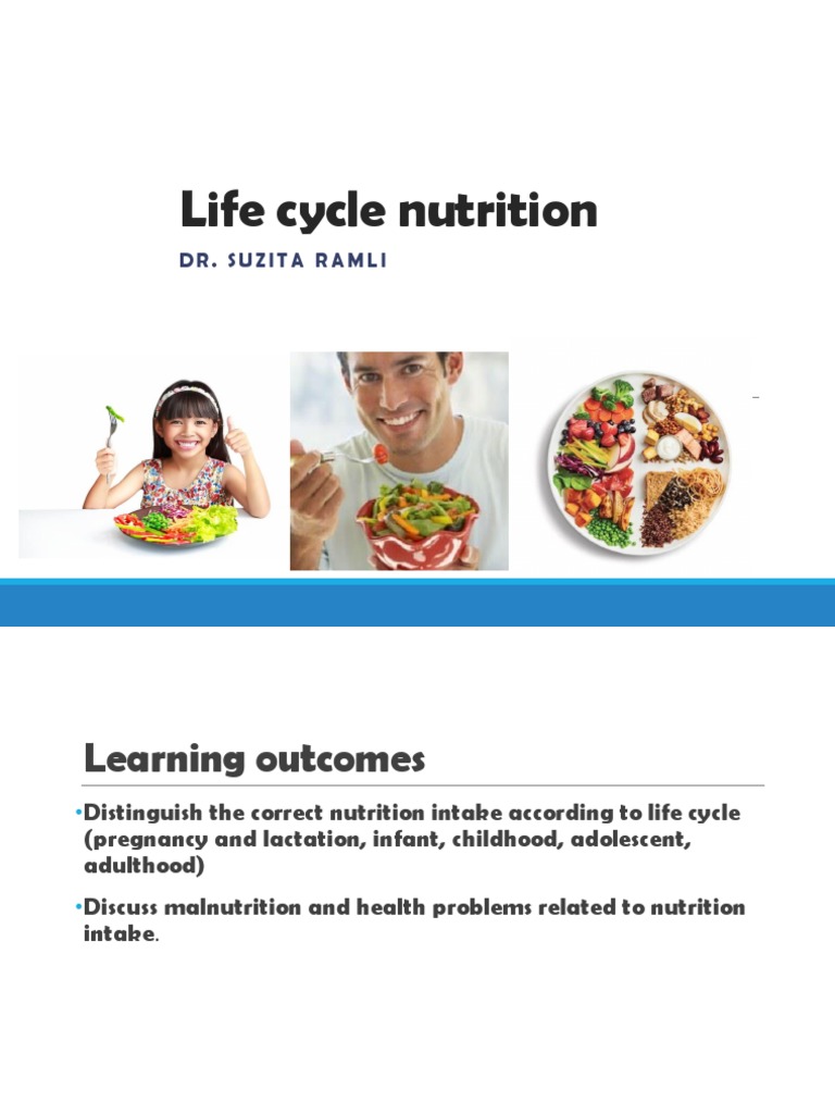 Life Cycle Nutrition Mind Map | PDF