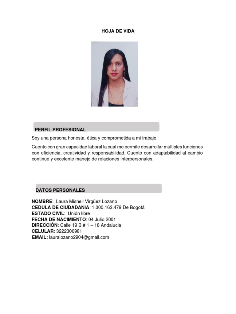 Hoja de Vida LAURA | PDF