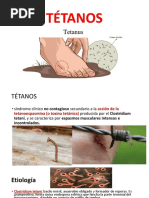 Tétanos - Tétanos Neonatal | PDF | Especialidades Medicas | Medicina ...