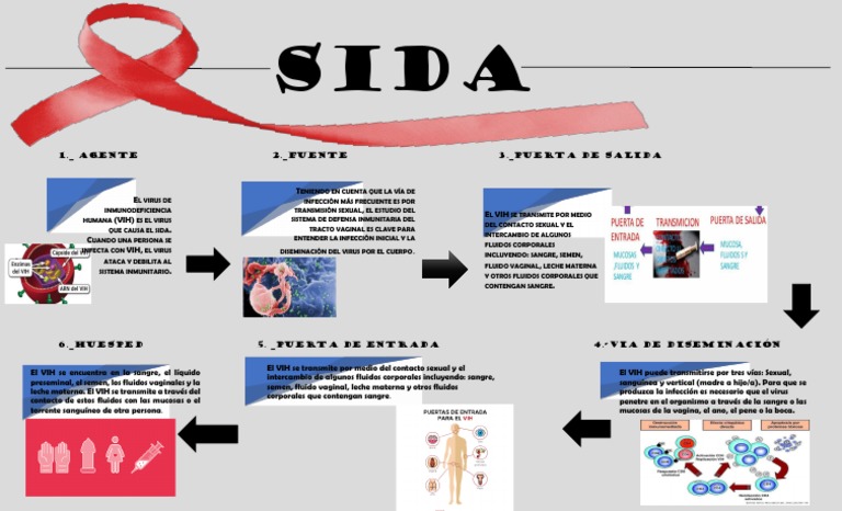 Sida | PDF | VIH | VIH / SIDA
