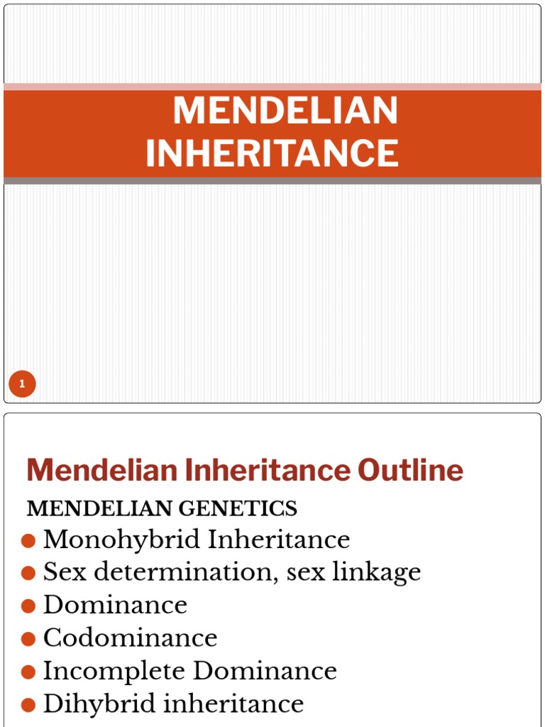 Mendelian Inheritance (Monohybrid and Dihybrid Cross) | PDF | Dominance ...