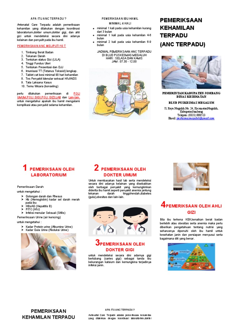 Leaflet ANC Terpadu Reni | PDF