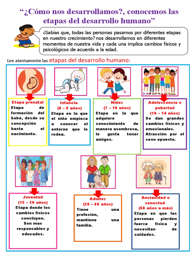 Etapas Del Desarrollo Humano Desarrollo Humano De 0 A 3 Años... Libro