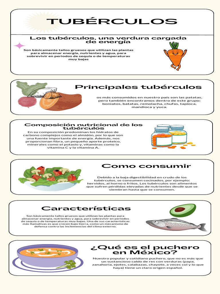 Info Tuberculos | PDF | Batata | Vegetales