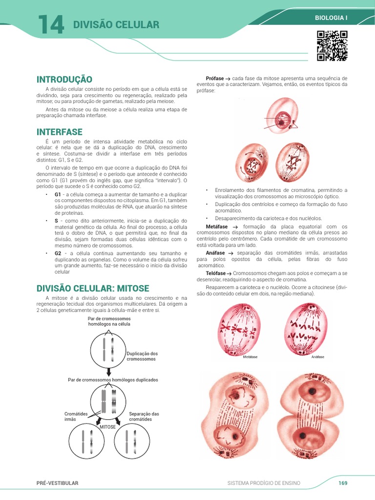 divisão celular | PDF