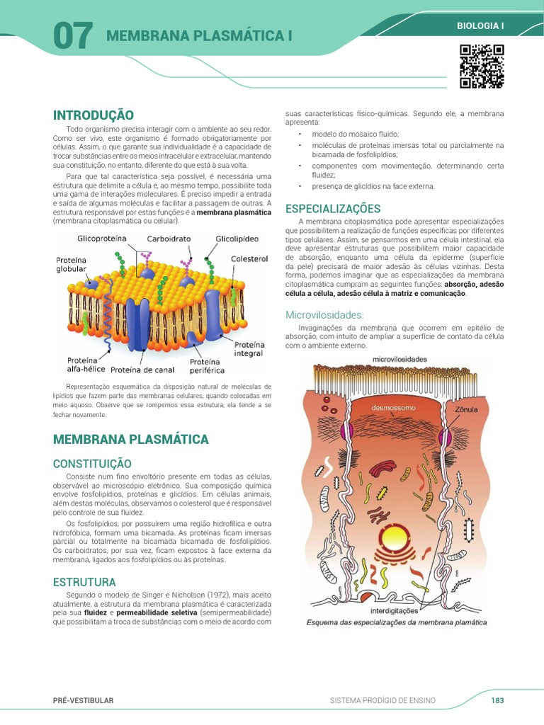 Pro Enem Membrana Plasmatica | PDF