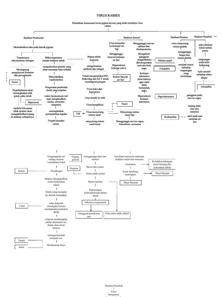 PDF Pathway Rabies Compress | PDF