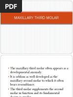 Morphology of Permanent Maxillary 3rd Molar | PDF | Dental Anatomy ...
