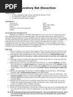 Explain Ingestion, Absorption, Assimilation, and Excretion S8LT | PDF ...