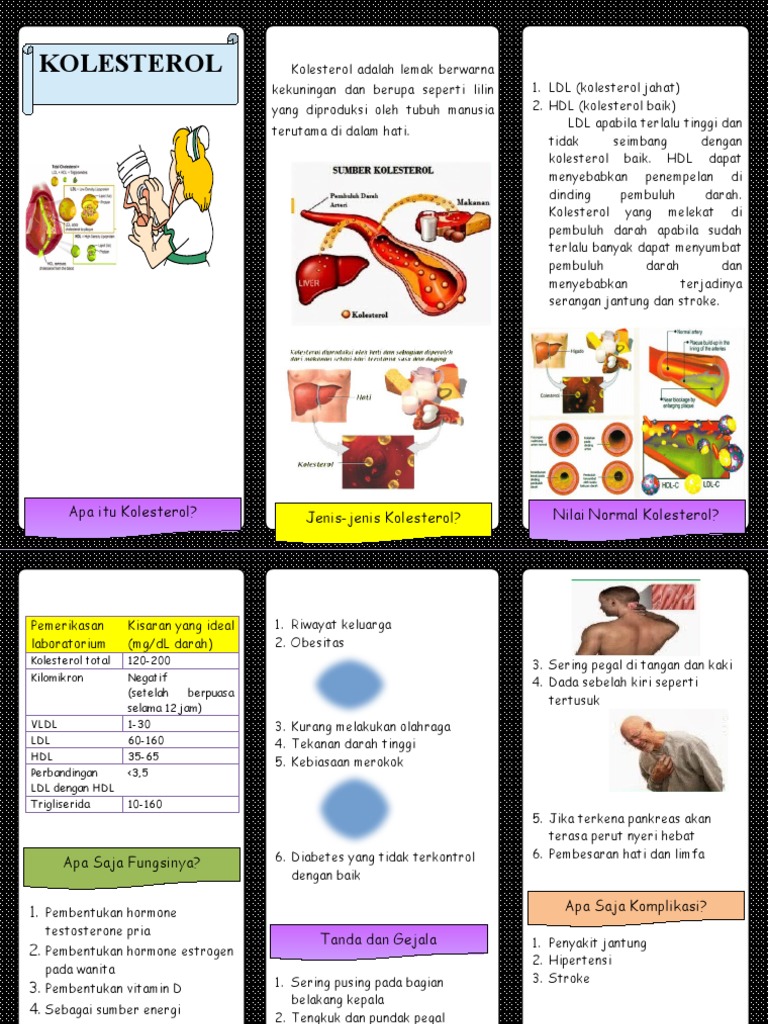 Liflet Kolestrol | PDF
