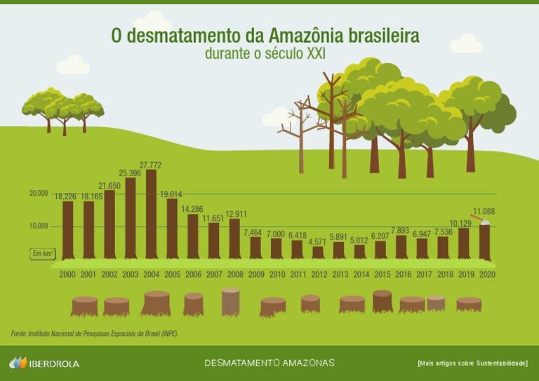 Infografico Desmatamento Amazonia | PDF