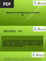 Ley y Reglamento de La Ley RIC | PDF | Propiedad | Guatemala