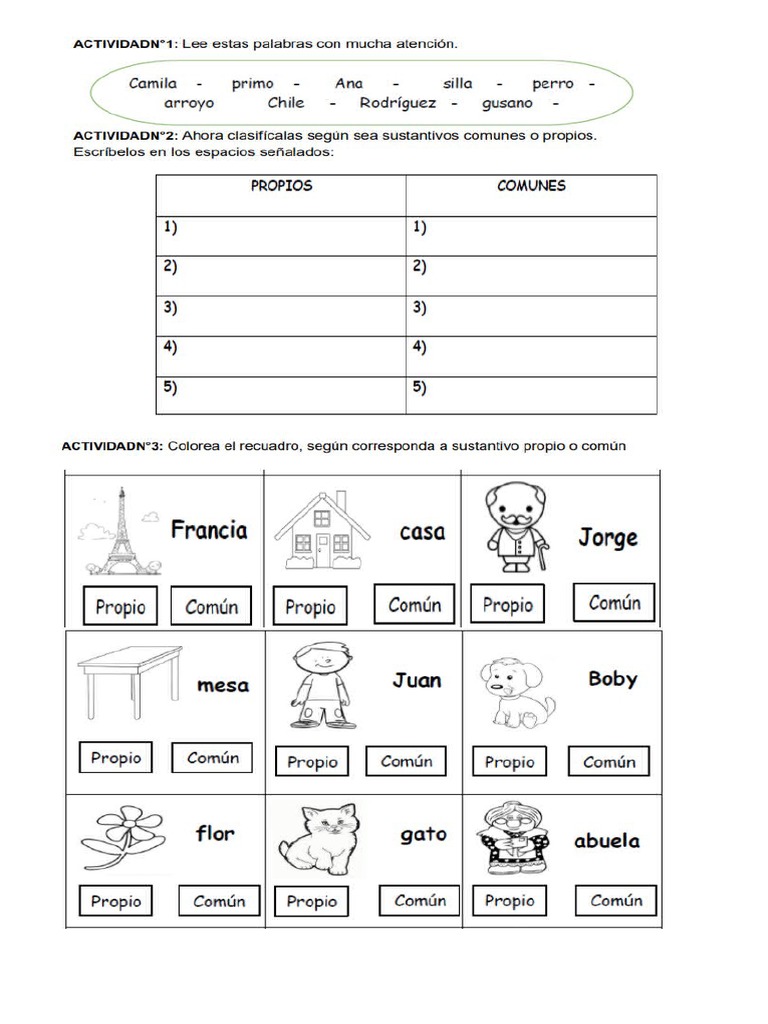 Guía de Sustantivos Propios y Comunes | PDF