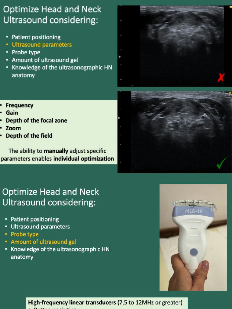 Neck Anatomy Ultrasound | PDF