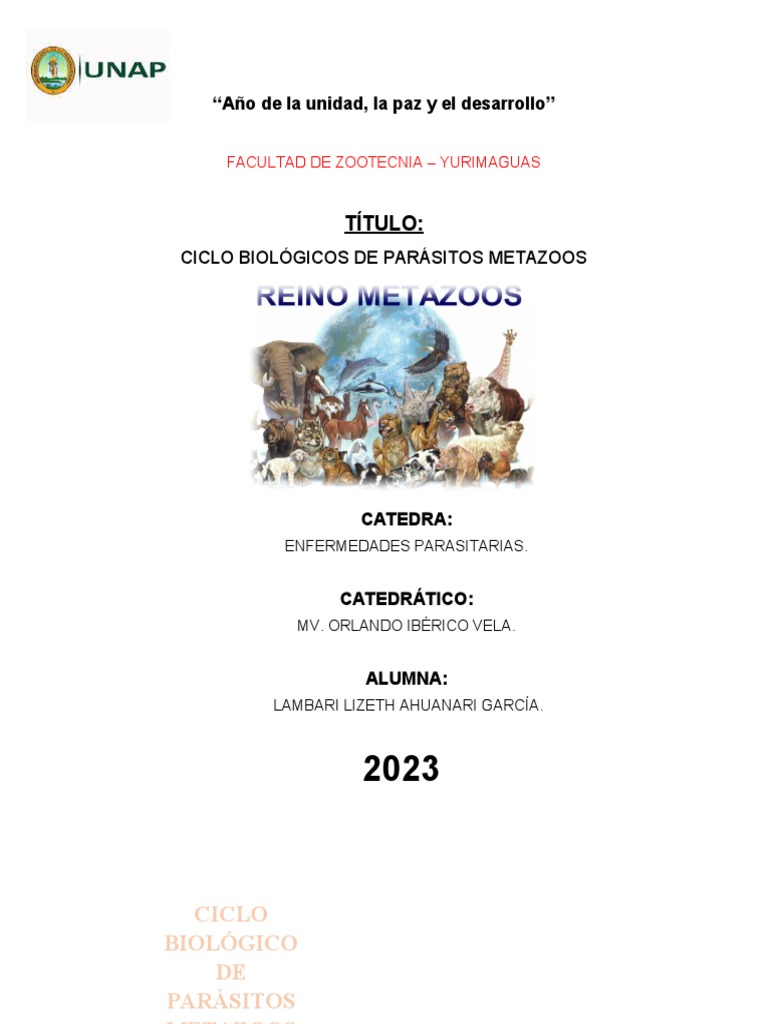 Ciclo Biologicos de Parasitos Metozoos | PDF