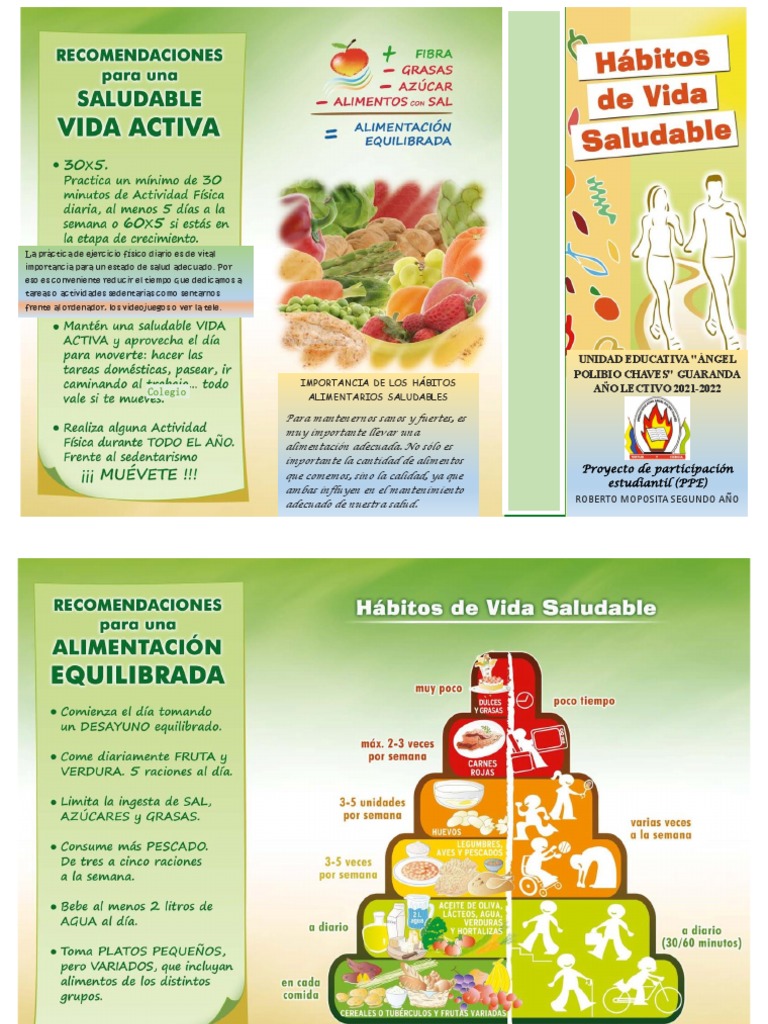 Triptico Vida Saludable | PDF | Aprendizaje | Cognición