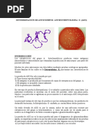 Recuento de Glóbulos Blancos | PDF | Leucocito | Medicina CLINICA