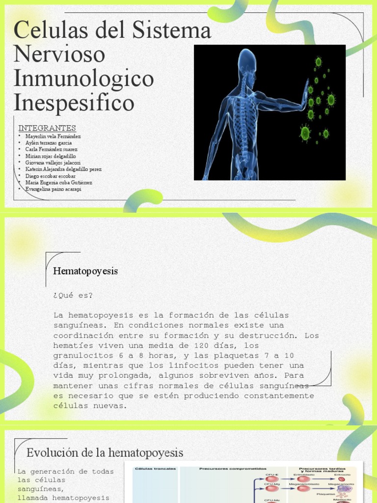 Celulas Del Sistema Inmunologico Inespecifico | PDF | Sistema inmune | Inflamación