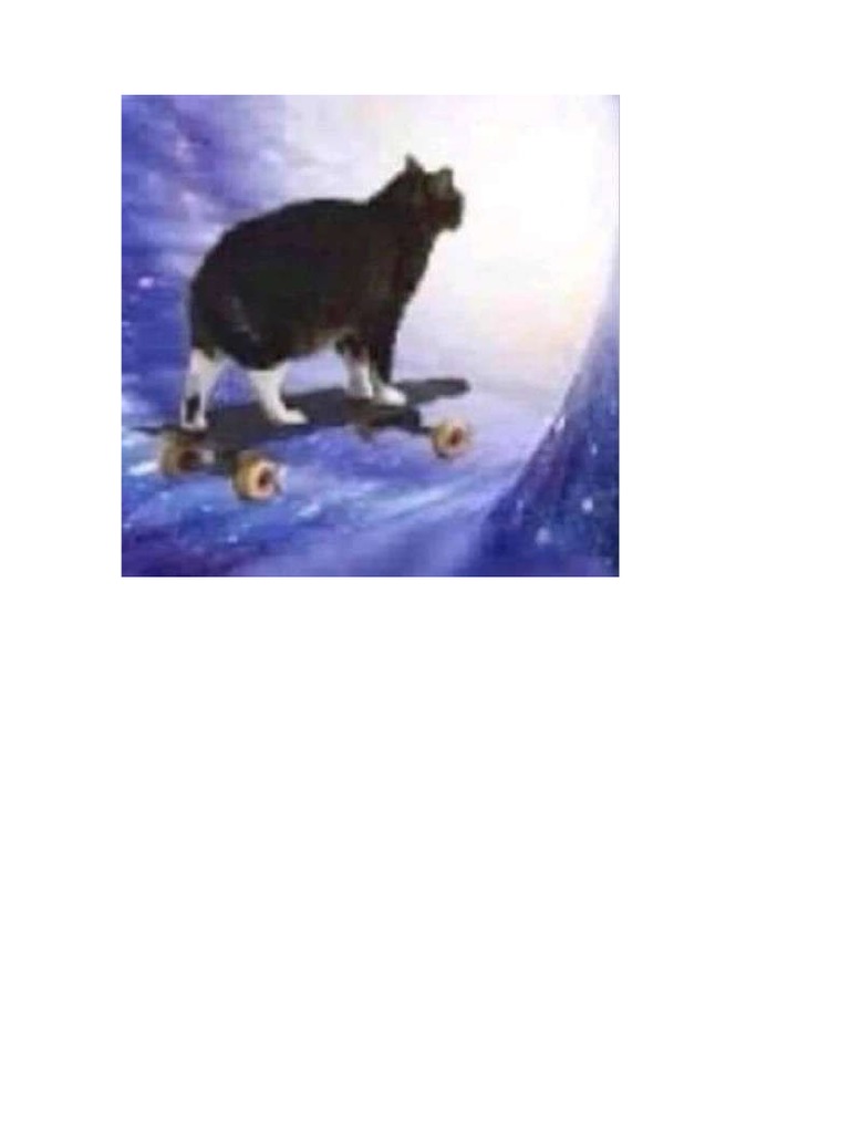 Gato Volador | PDF