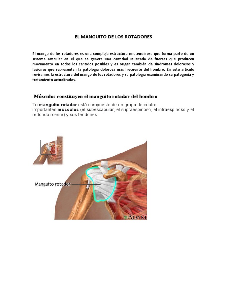 El Manguito de Los Rotadores | PDF | Hombro | Causas de la muerte