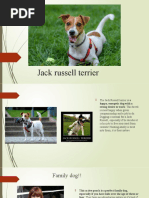 Abattoir Design and Construction - PDF - Slaughterhouse - Animal ...