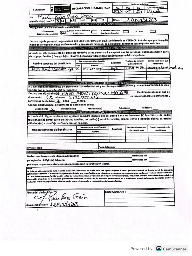 Declaración Juramentada | PDF