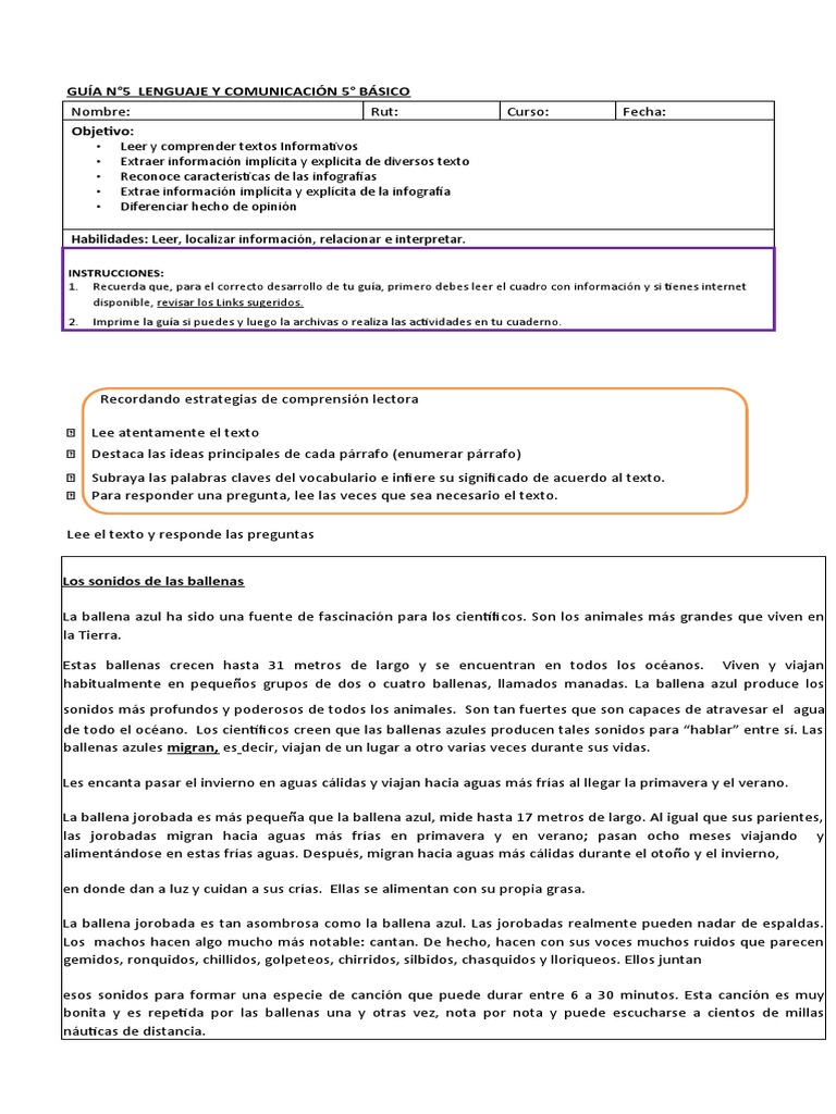 Guía N°5 Leng 5° PDF | PDF | Obesidad | Medicina CLINICA