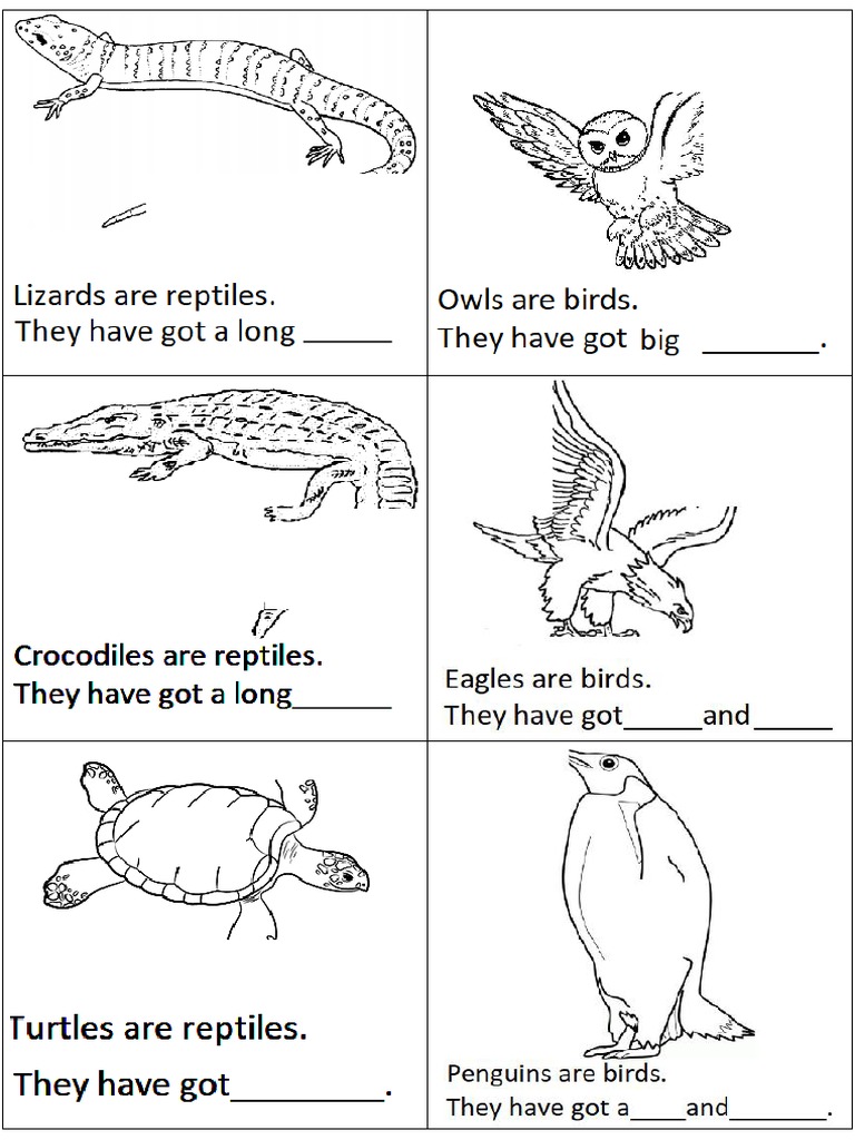 Complete The Animal Drawing | PDF