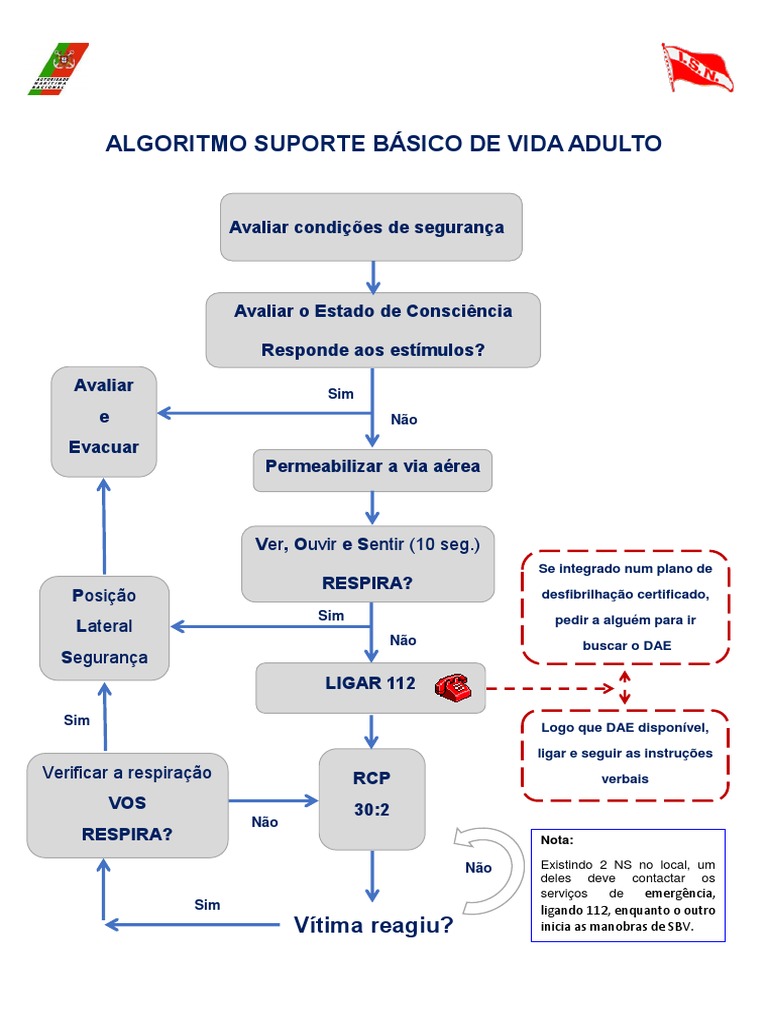 Algoritmo SBV Adulto_final | PDF