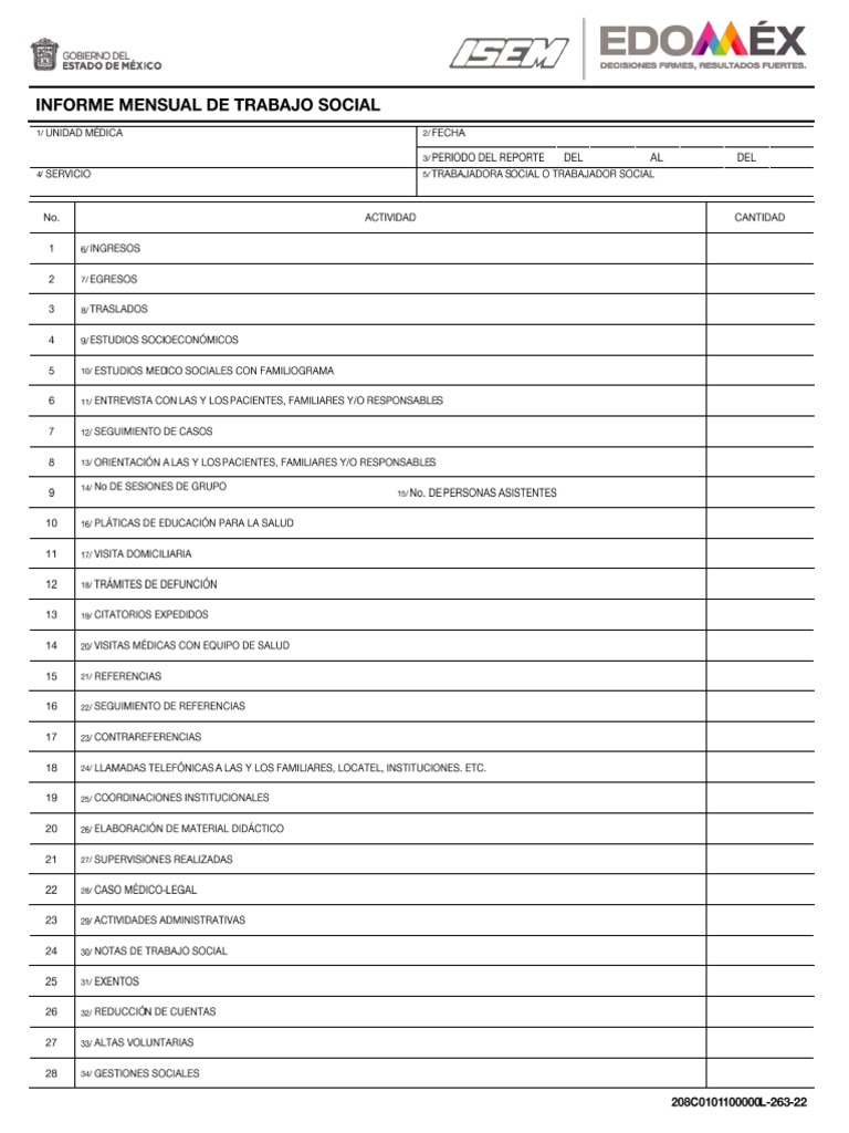 Informe Mensual de Trabajo Social | PDF Informe Mensual de Trabajo Social | PDF
