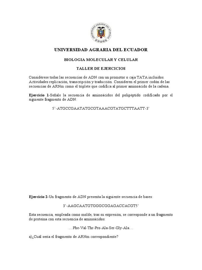 Ejercicios Traducción Transcripción Pdf