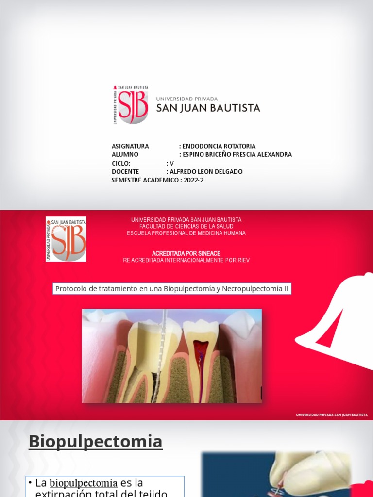 Biopulpectomia y Necropulpectomia | PDF | Especialidades Medicas