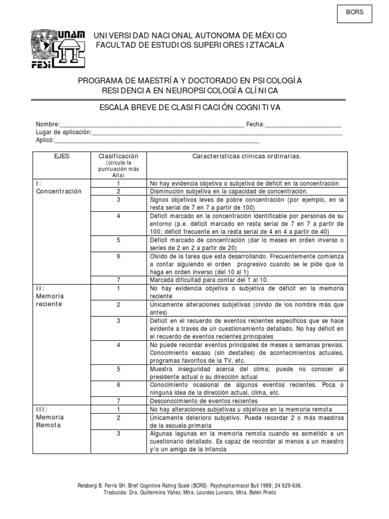 Bcrs Descargar Gratis Pdf Memoria Sicología