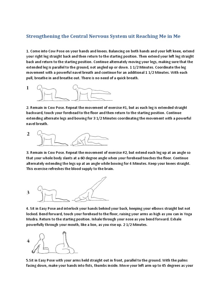 Strengthening The Central Nervous System | PDF | Human Anatomy