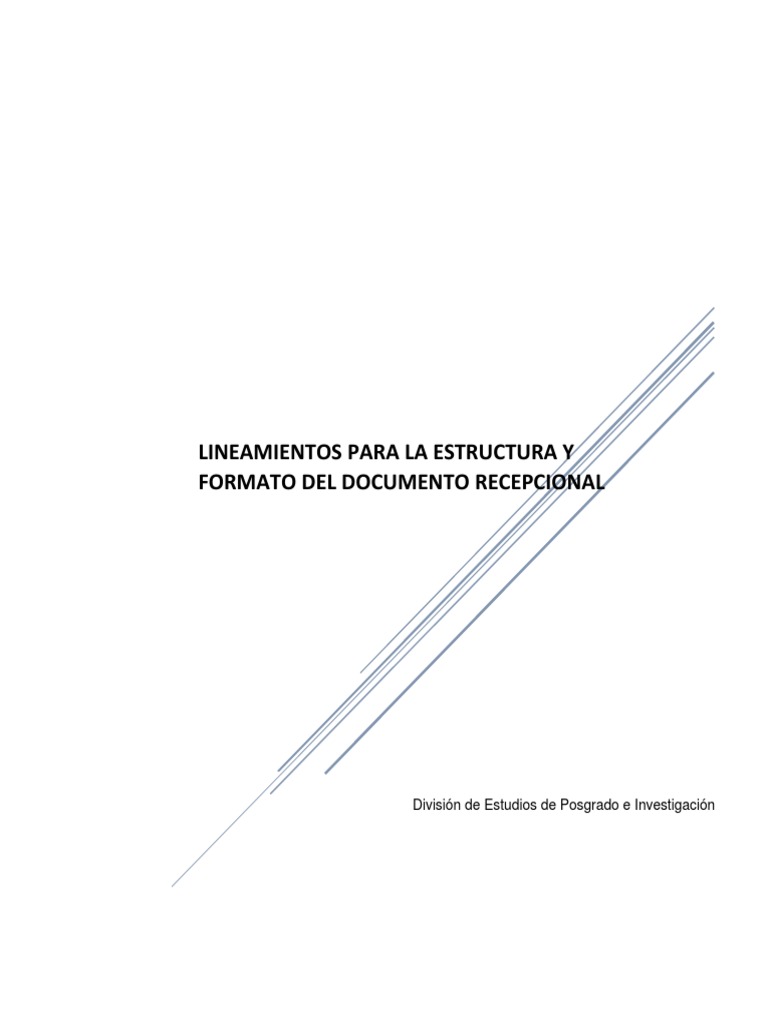 Lineamientos para La Estructura y Formato Del Documento Recepcional ...