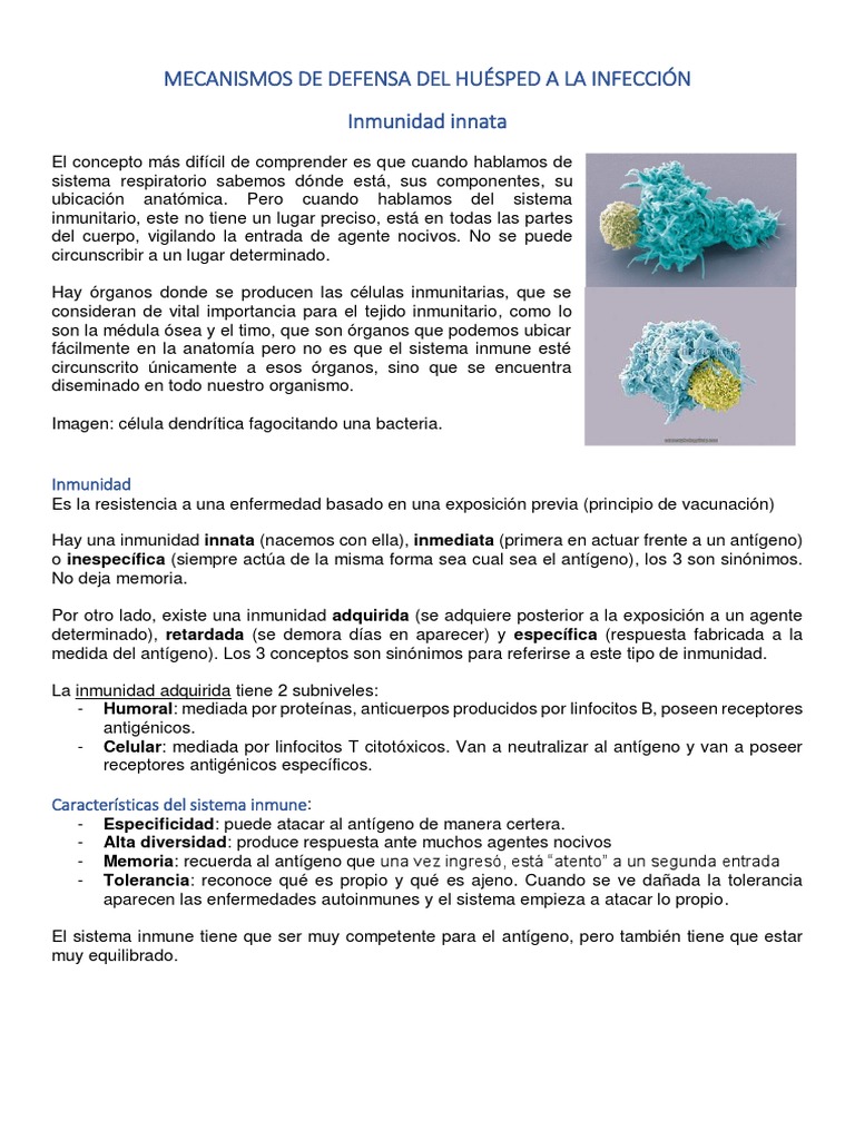 Respuesta Del Sistema Inmune Frente A MO (Inmunidad Innata) | PDF ...