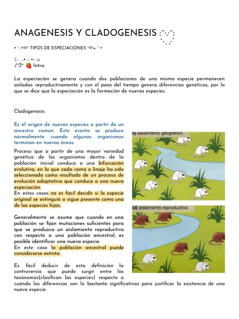 anagenesis y cladogenesis | PDF
