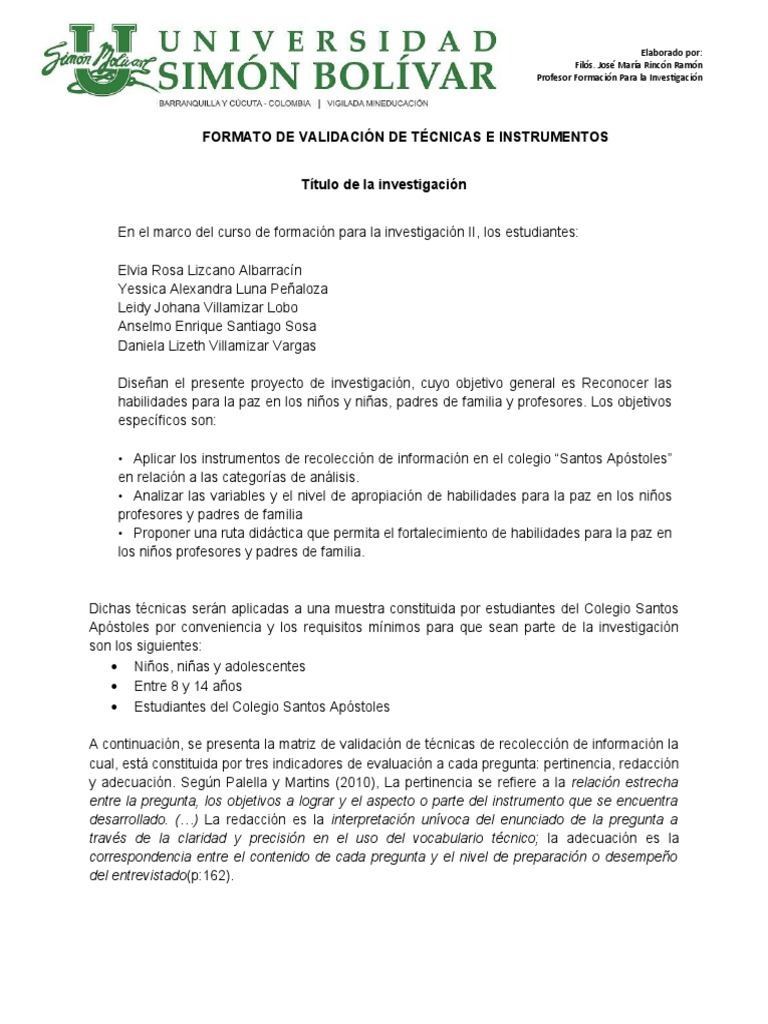 Anexo 3. Formato Validación Tecnicas (1) Regular | PDF | Las emociones ...