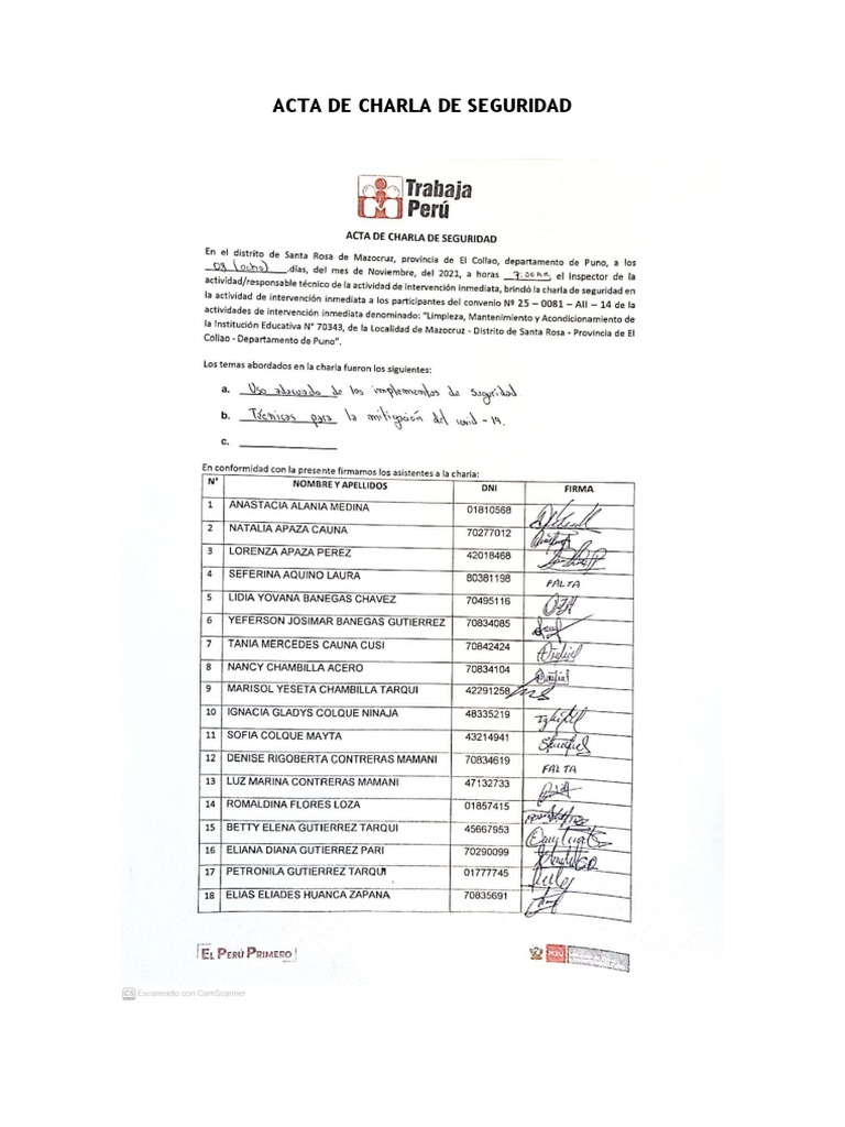 Acta de Charla de Seguridad | PDF