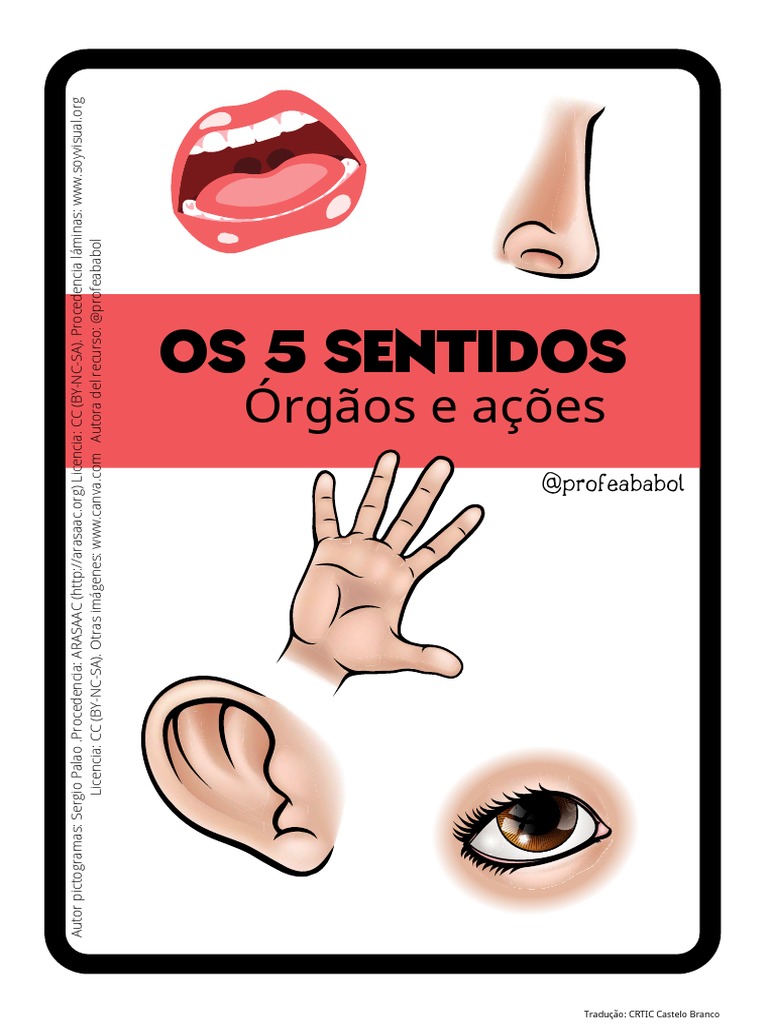 PT Caderno TEACCH Os 5 Sentidos | PDF