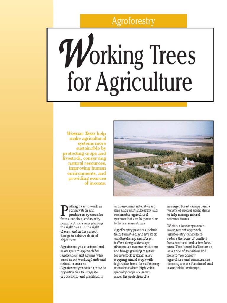 Working Trees | PDF | Agriculture | Soil