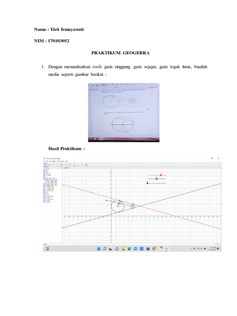 2017_GEOGEBRA | PDF