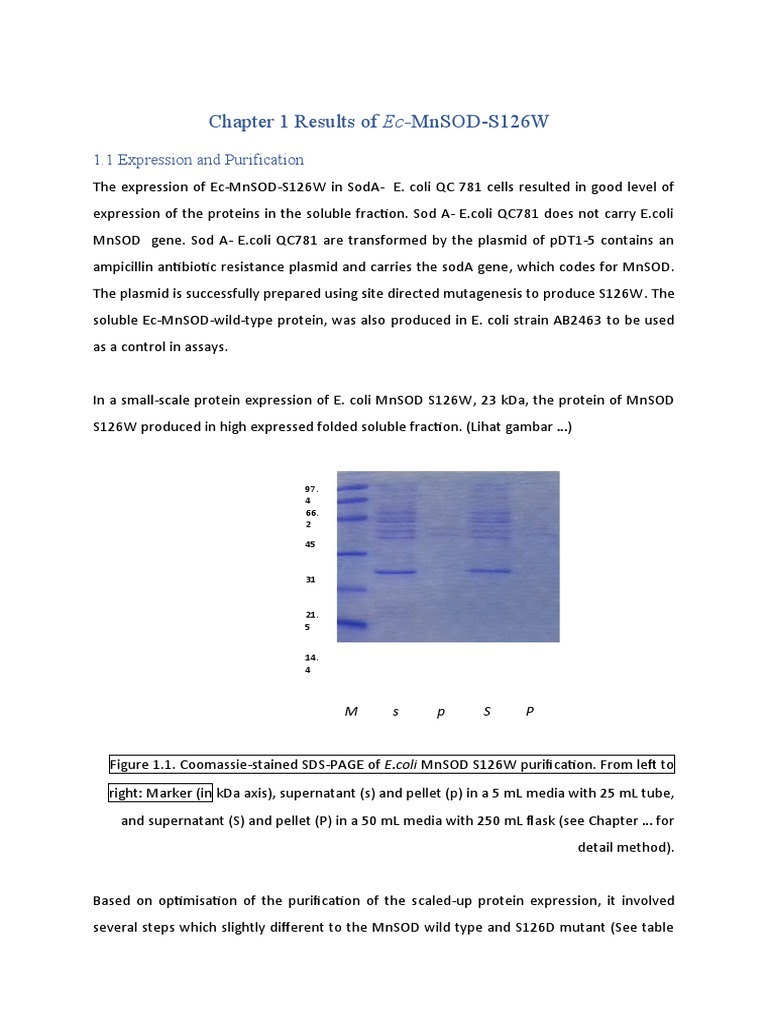AutoRecovery Save of Chp5 (AutoRecovered) | PDF | Differential Scanning Calorimetry | Protein ...