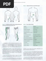 Cuestionario PAIN DETECT | PDF | Dolor