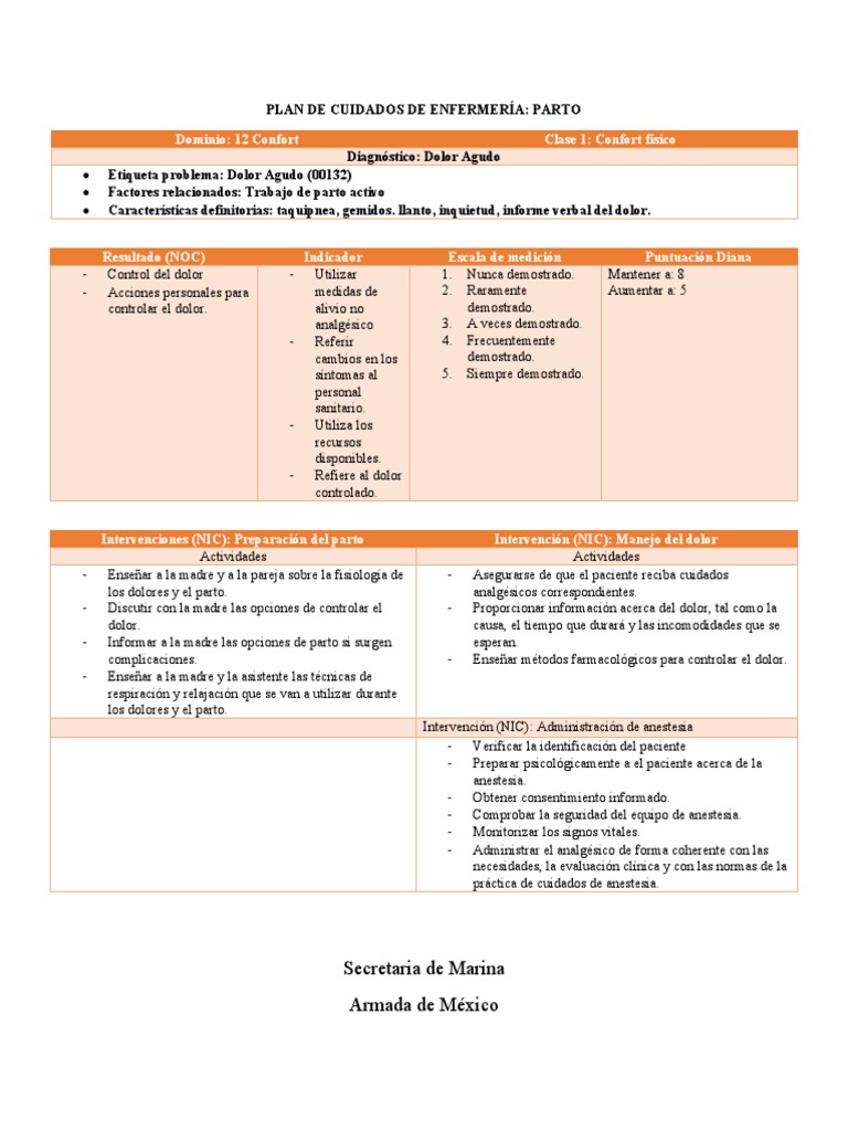 Plan de Cuidados de Enfermería | PDF