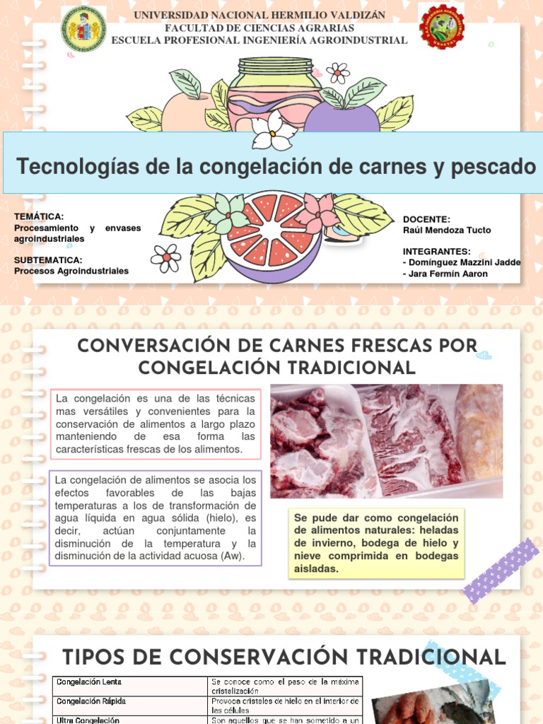 Técnicas de Congelación de Carnes y Pescados | PDF | Carne | Radiación ...
