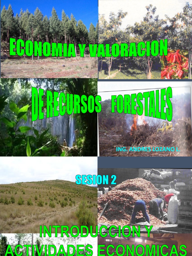 Tarea - Sesion 2 | PDF | Science & Mathematics | Technology & Engineering